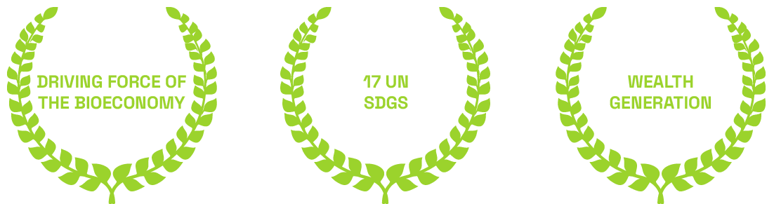 Tupan – The Global Sustaintable Regeneration Based Economy