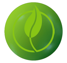 Tupan – The Global Sustaintable Regeneration Based Economy