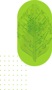 Tupan – The Global Sustaintable Regeneration Based Economy